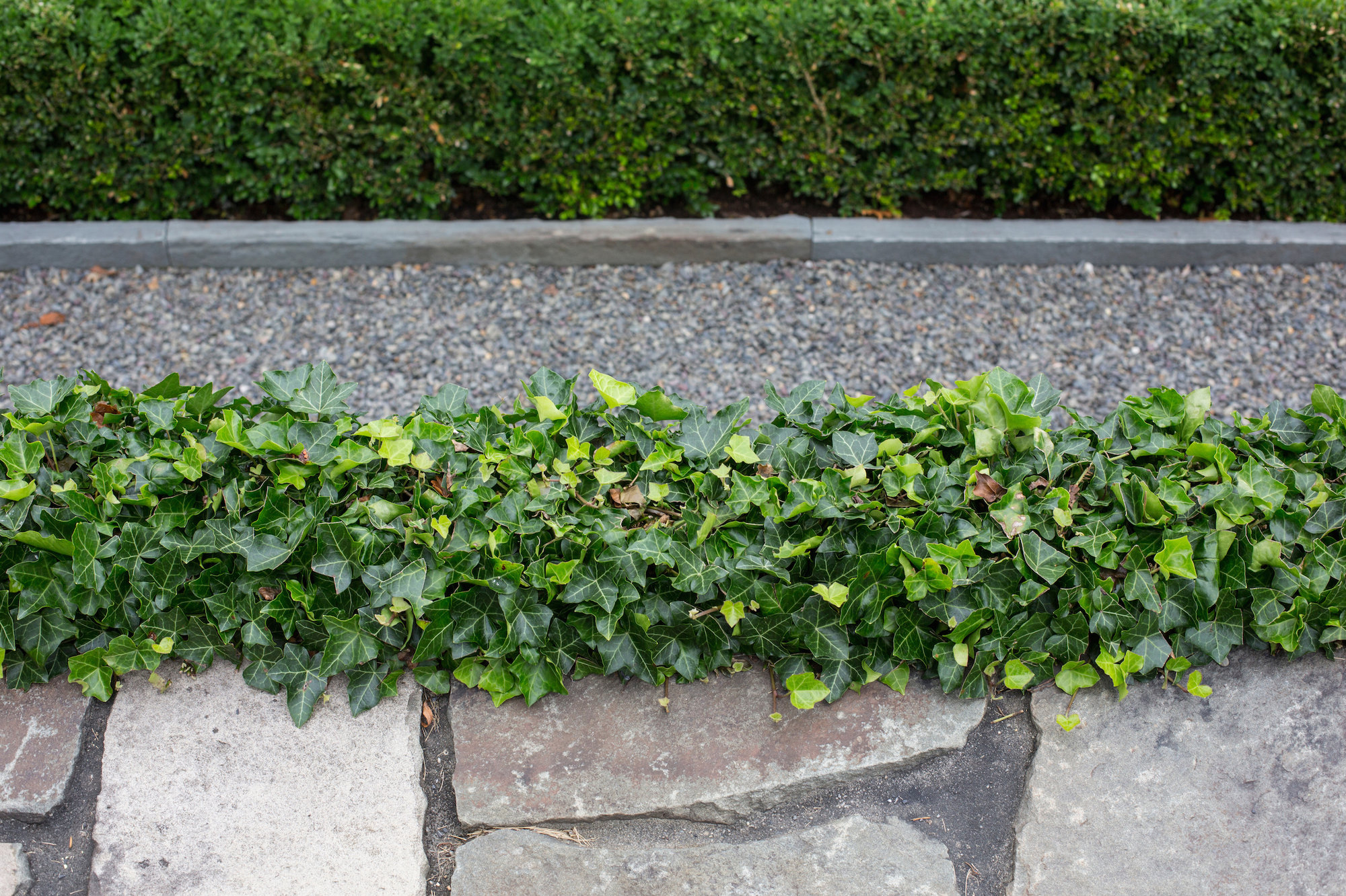 Quincy Hammond Landscape Architecture