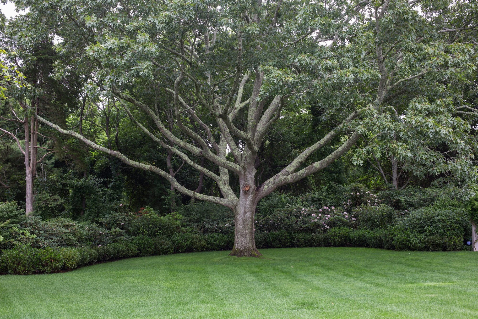 Quincy Hammond Landscape Architecture