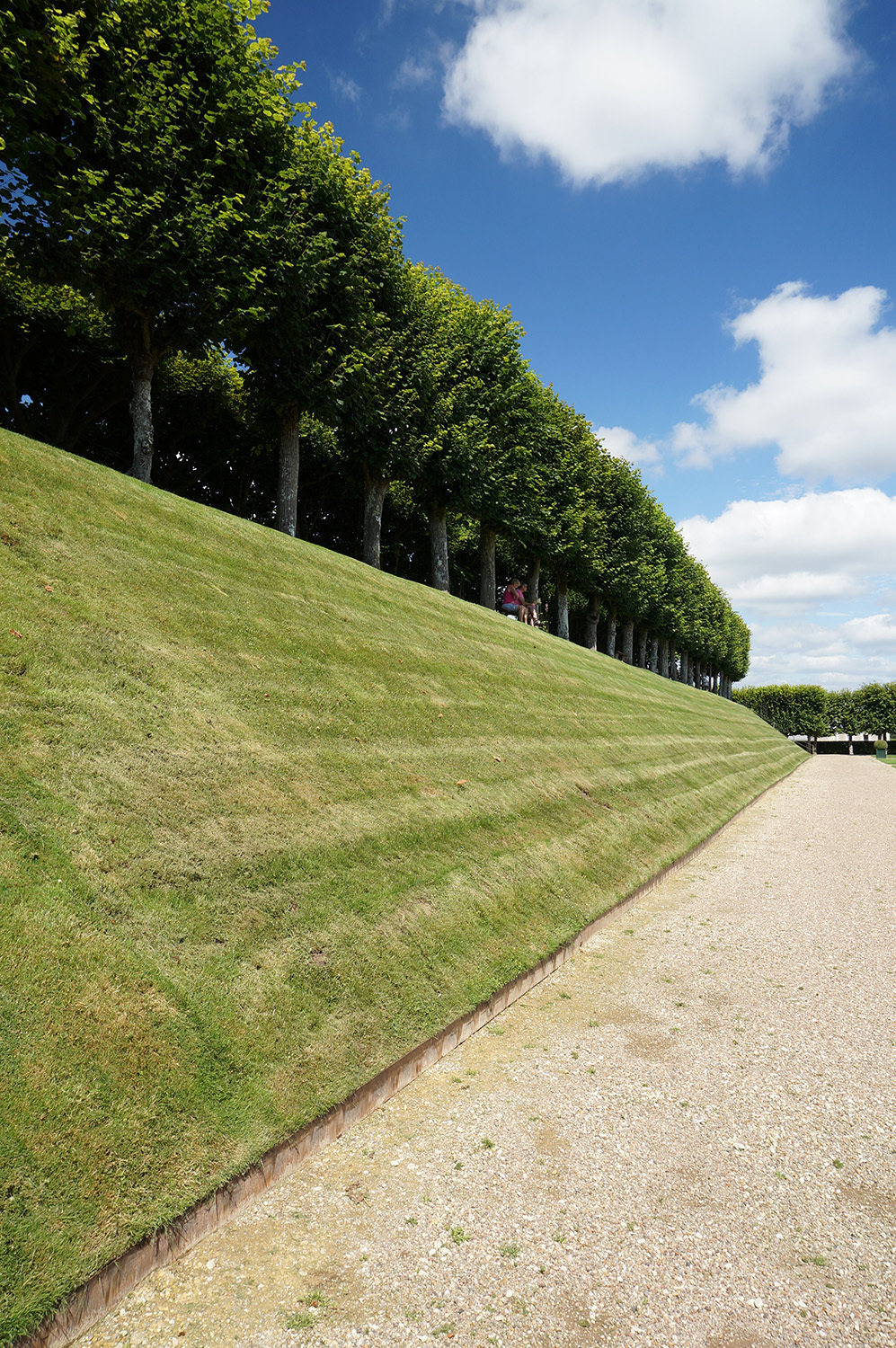 Quincy Hammond Landscape Architecture